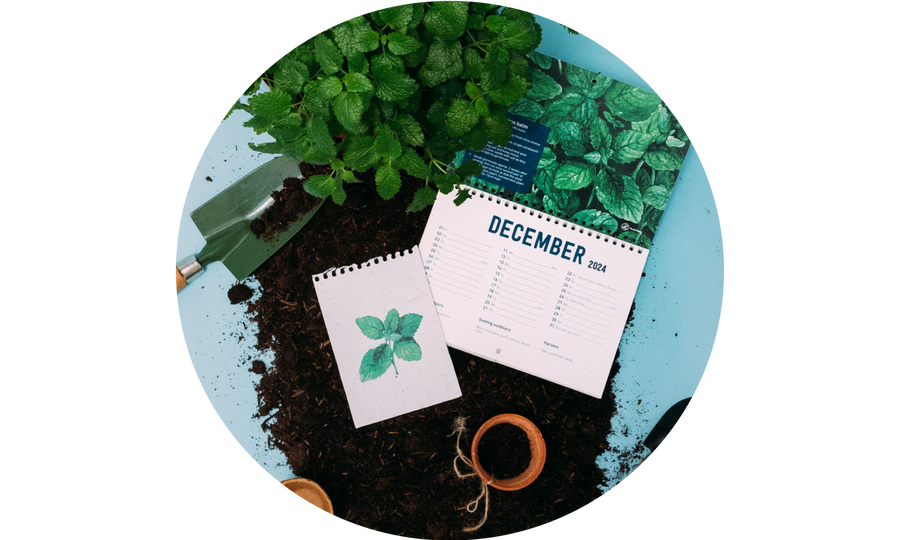 Plantable Calendar 2024 - Plantura Shop – Plantura UK