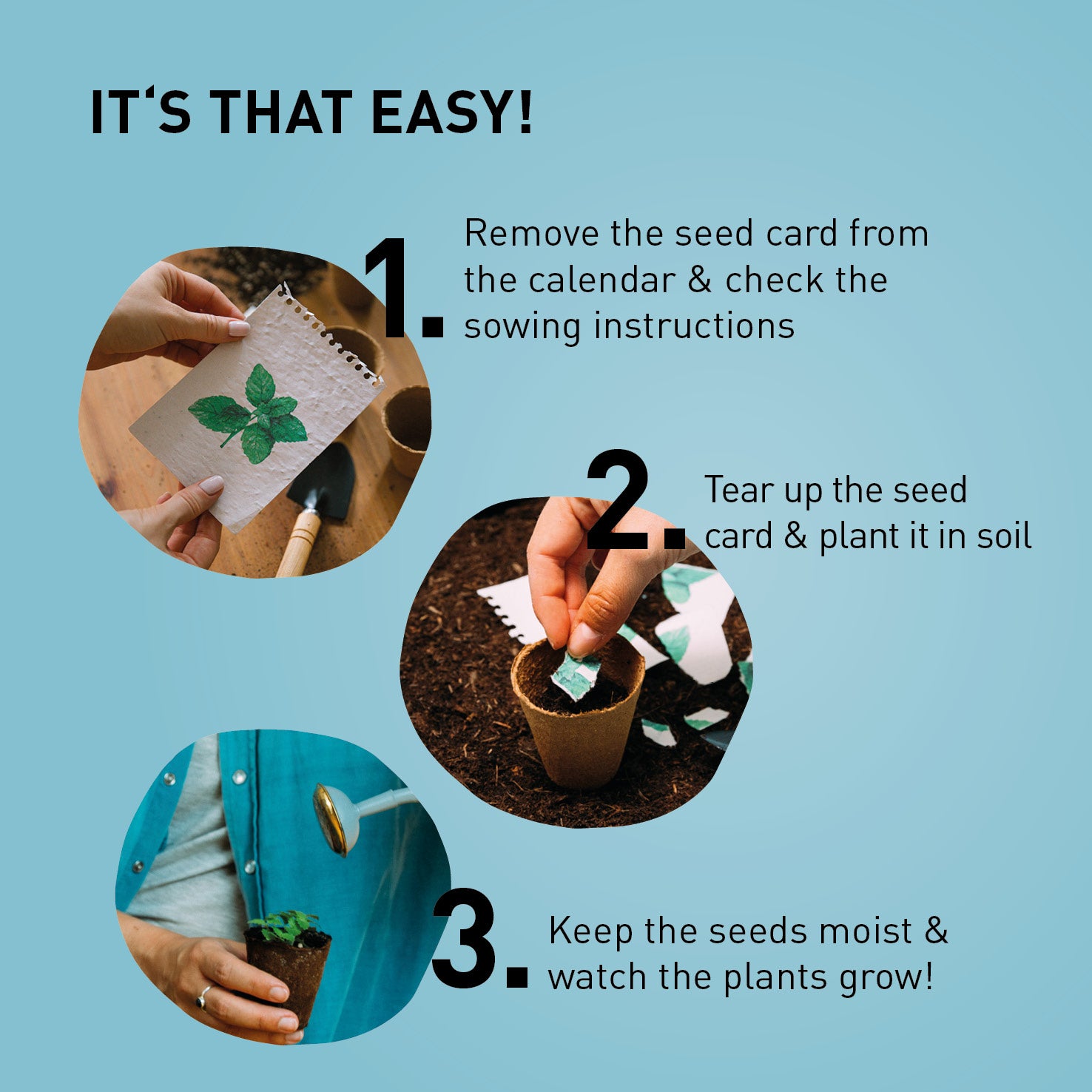 Plantable Calendar 2024 - Plantura Shop – Plantura UK