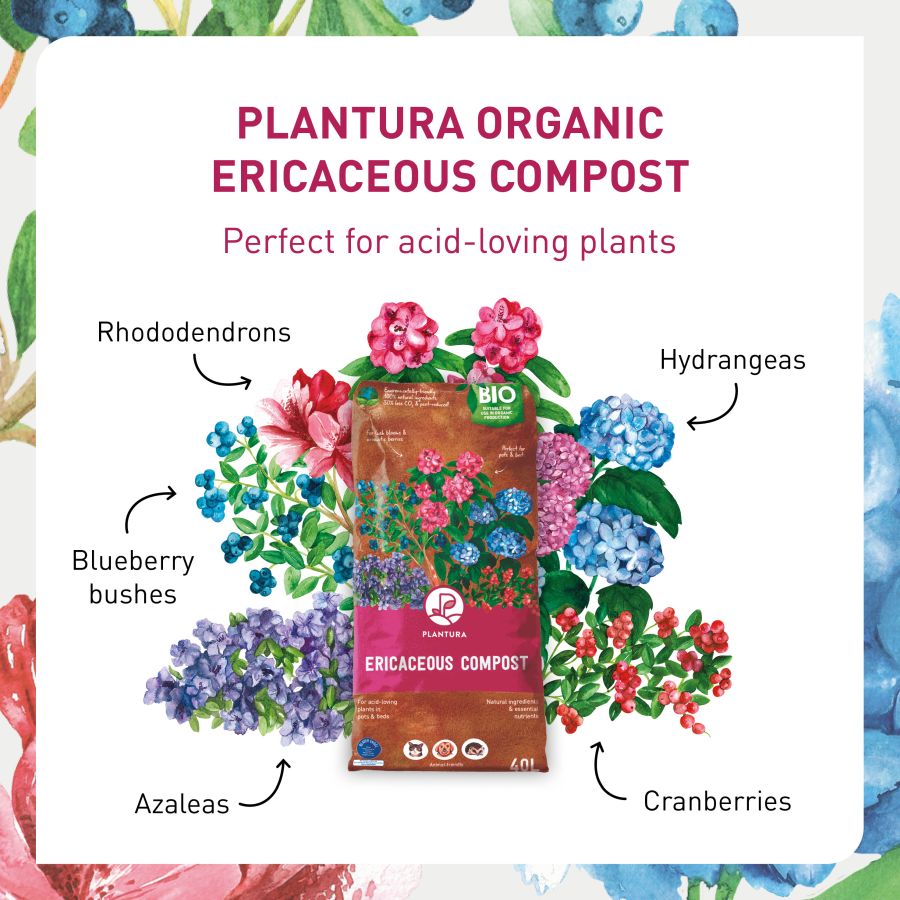 Organic Ericaceous Compost - Plantura Shop – Plantura UK