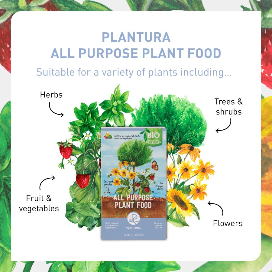 All Purpose Plant Food - Plantura Shop UK – Plantura UK