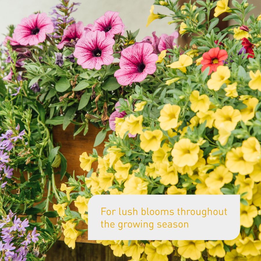 Liquid Flower Food - Plantura Shop – Plantura UK