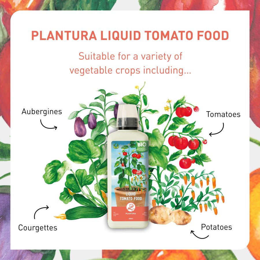 Liquid Tomato Food - Plantura Shop – Plantura UK