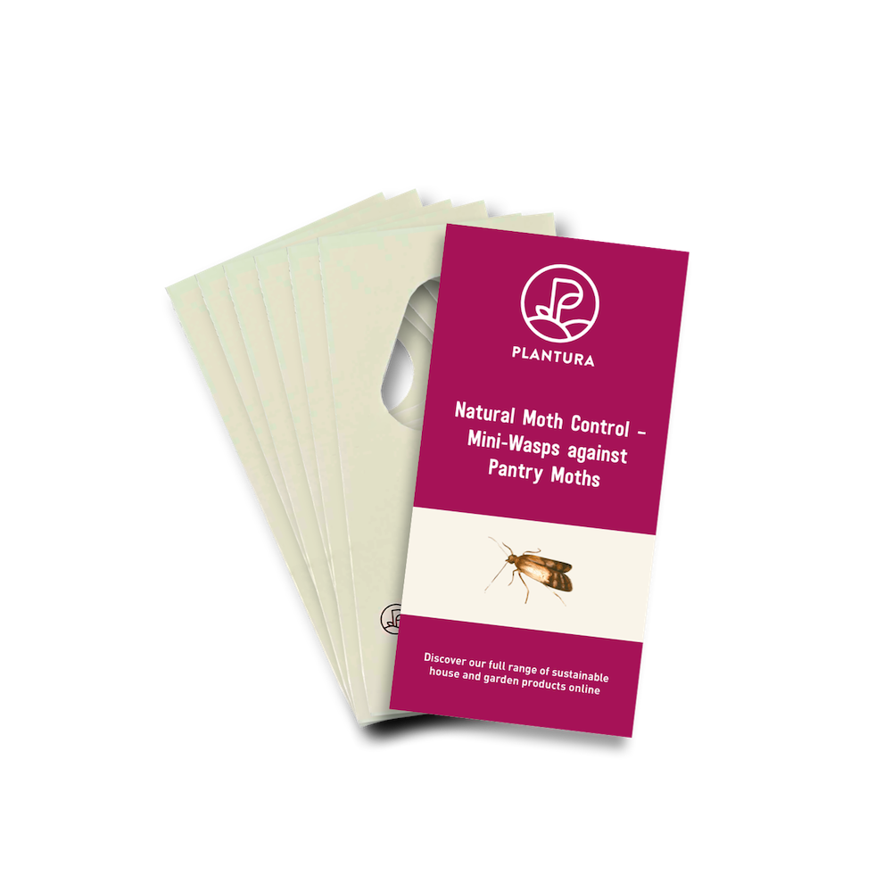 Parasitic Wasps against Pantry Moths - Plantura Shop – Plantura UK