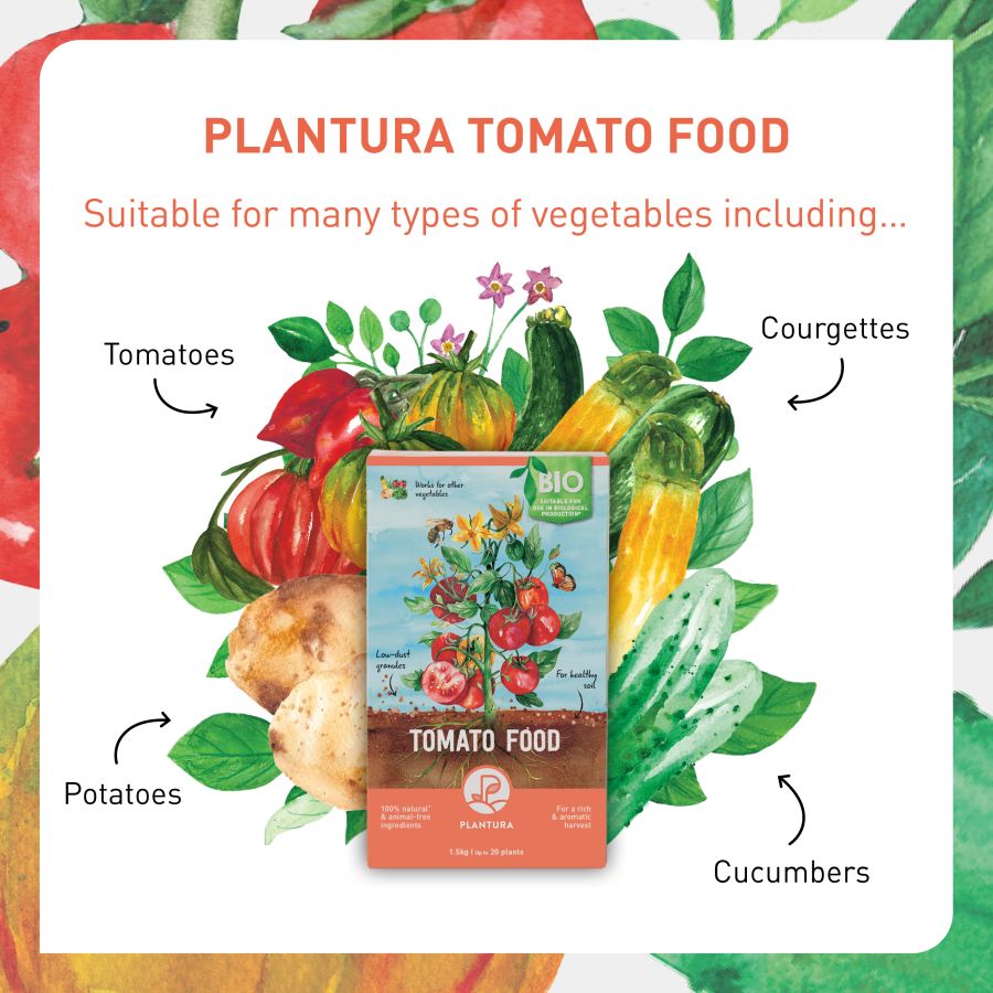 Tomato Food - Plantura Shop – Plantura UK