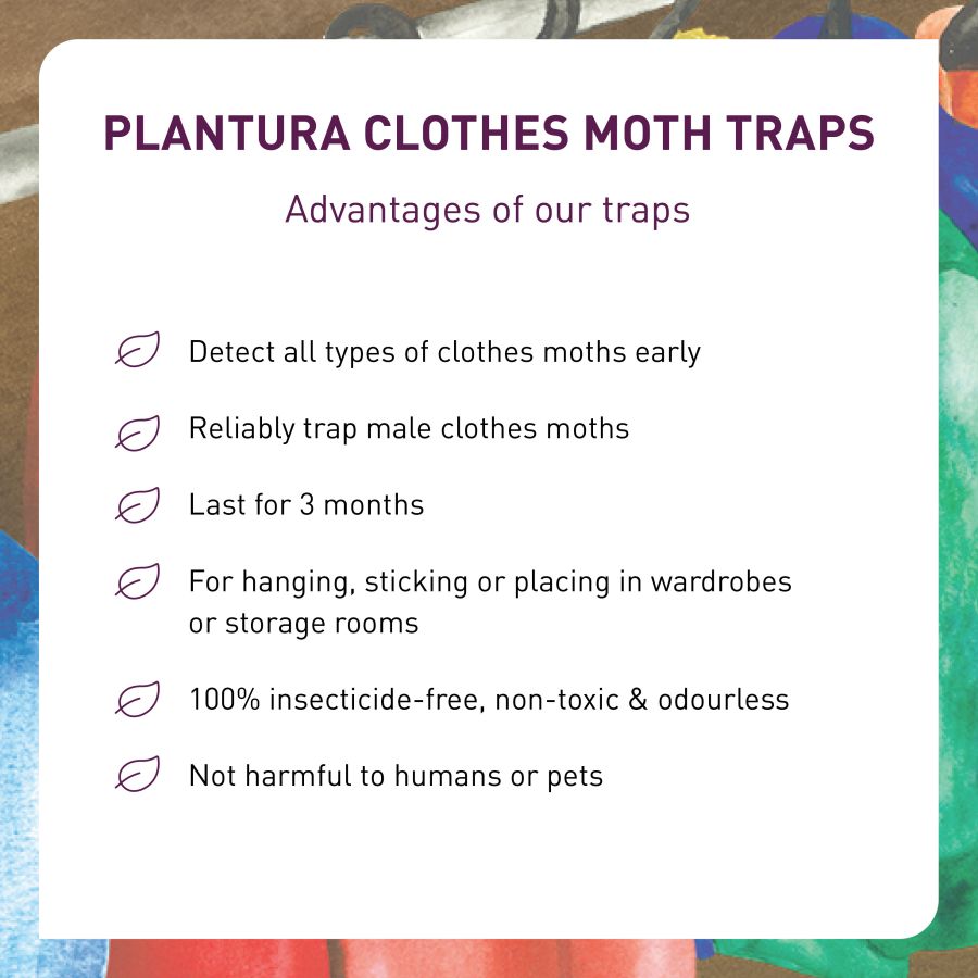 Clothes Moth Traps - Plantura Shop – Plantura UK