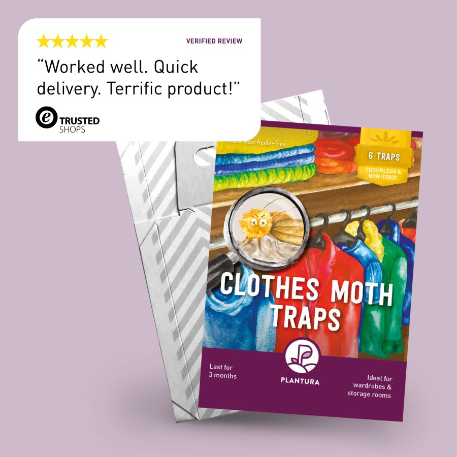 Clothes Moth Traps - Plantura Shop – Plantura UK