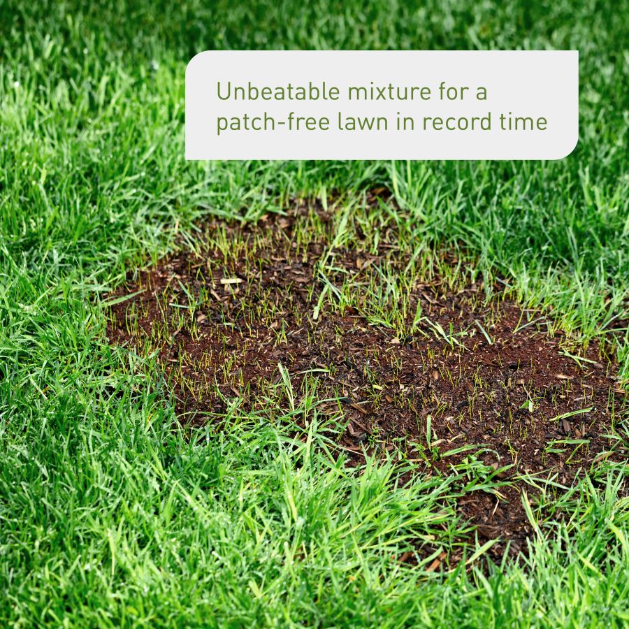 Lawn Repair Mix - Plantura Shop UK – Plantura UK