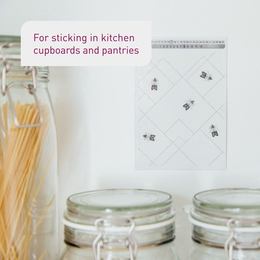 Pantry Moth Traps - Plantura Shop – Plantura UK